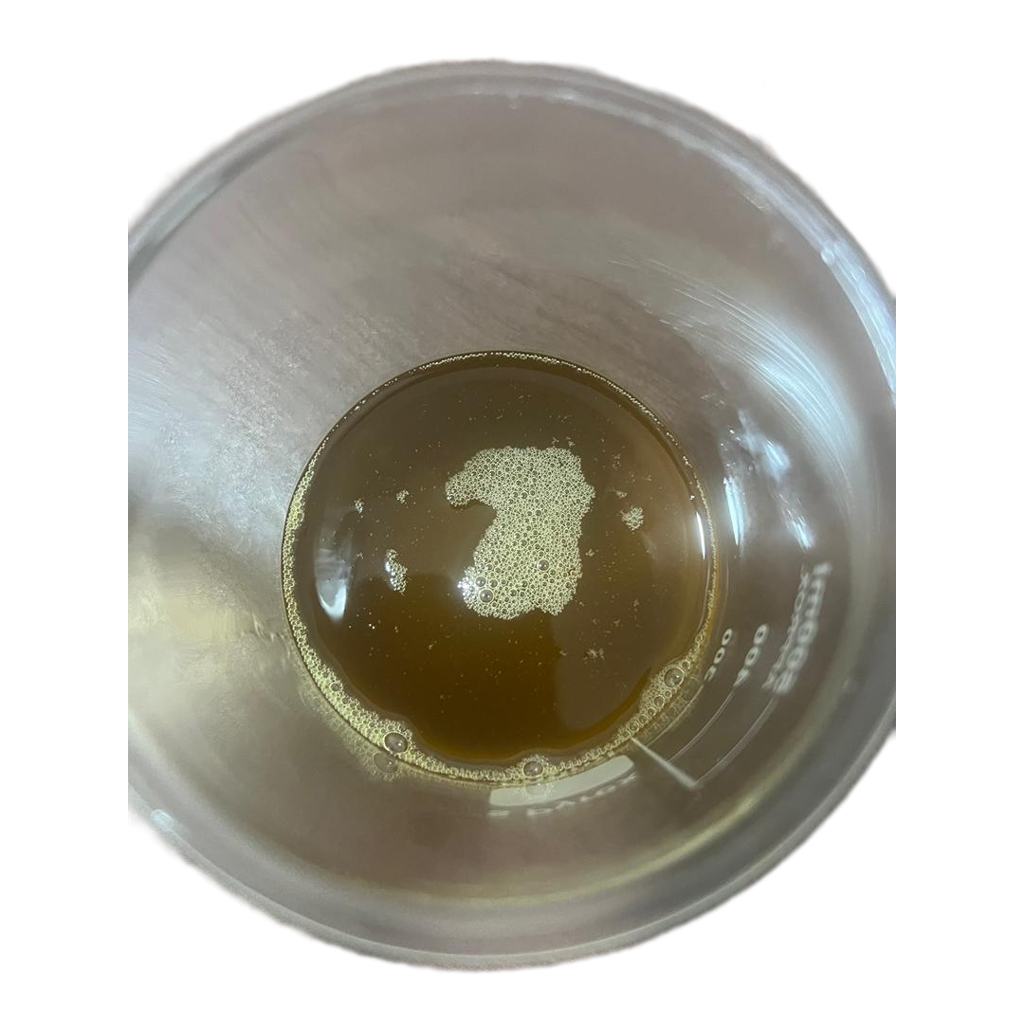 Neem Seed Extract Oil – Deoorganic